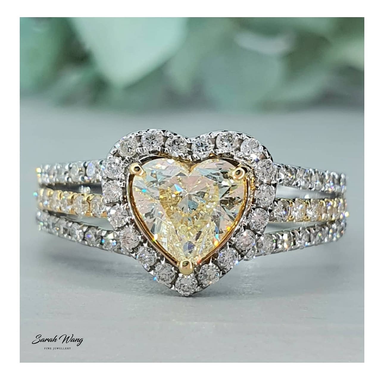 SUNSHINE II - Sarah Wang