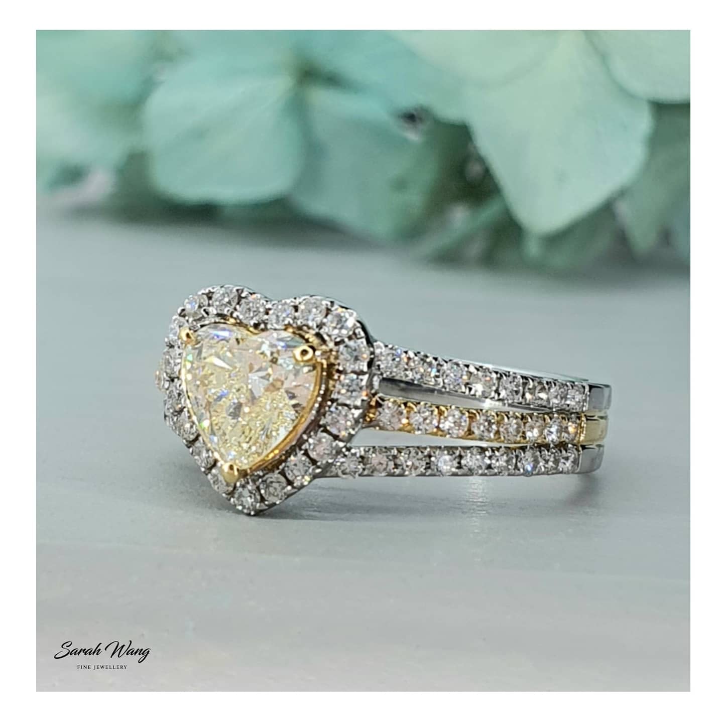 SUNSHINE II - Sarah Wang